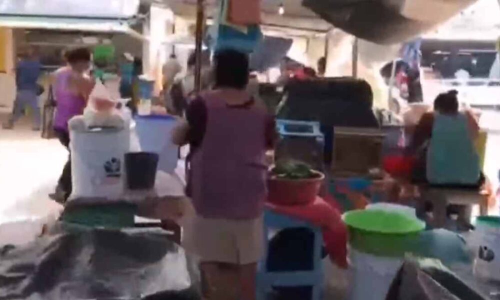 Costaría 600 pesos el pibipollo, 800 el altar de muertos – Cauce Campeche